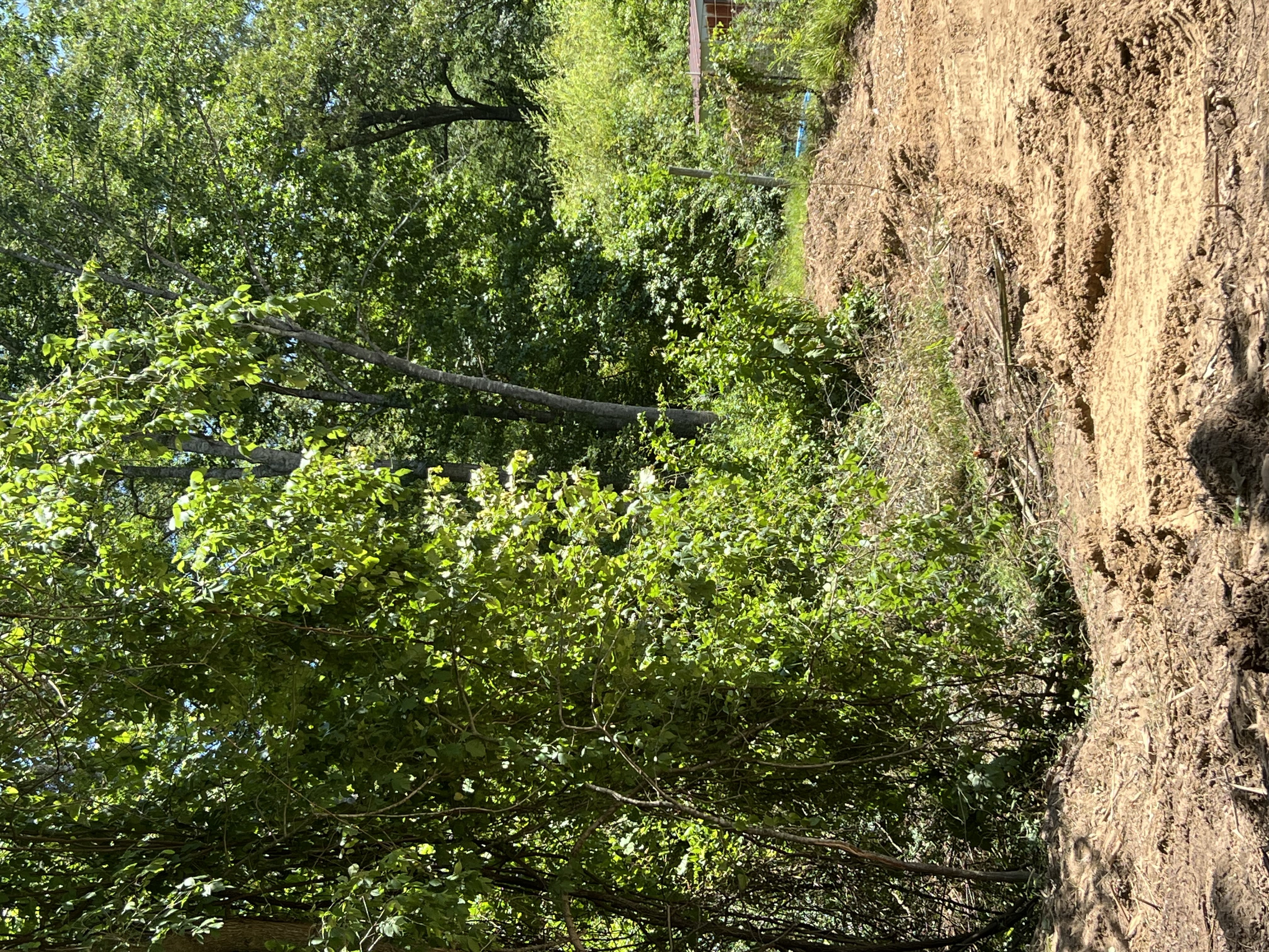 Clean Fill Dirt needed in Natchez, MS | DirtMatch